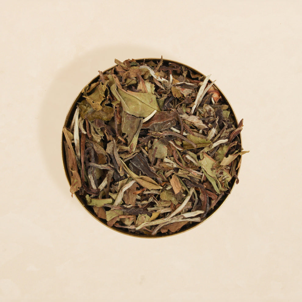 Pai Mu Tan Tea | Buy Loose Leaf White Tea Online – The Tea Centre